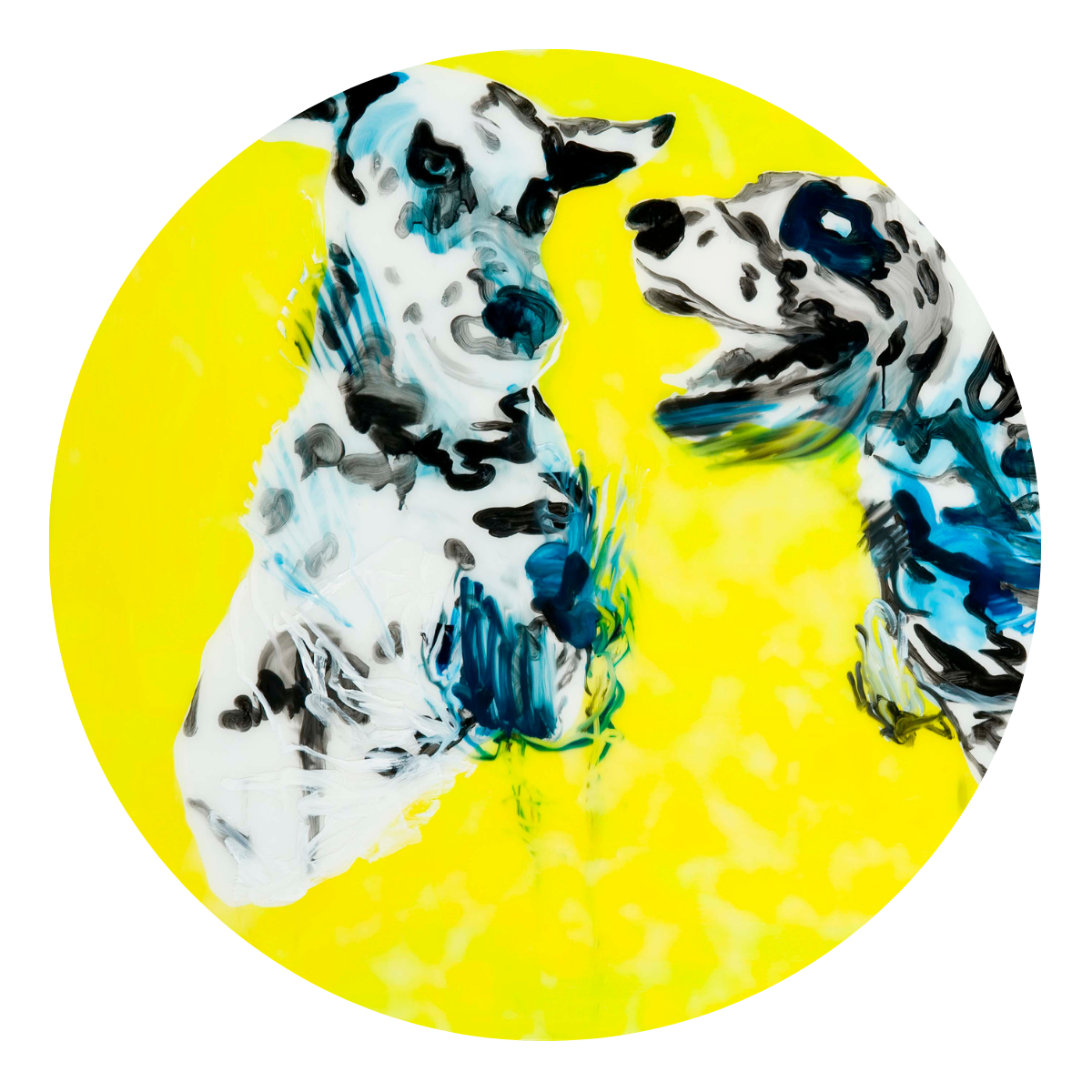 Tulevat näyttelyt Poikilossa 2023 - Poikilo